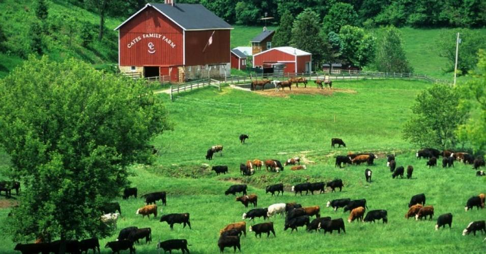 EU loses 5.3 million farms in 15 years | Caliber.Az